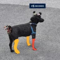 MSI center 模块无法安装，一直在下载中 | MSI中国大陆区客户论坛